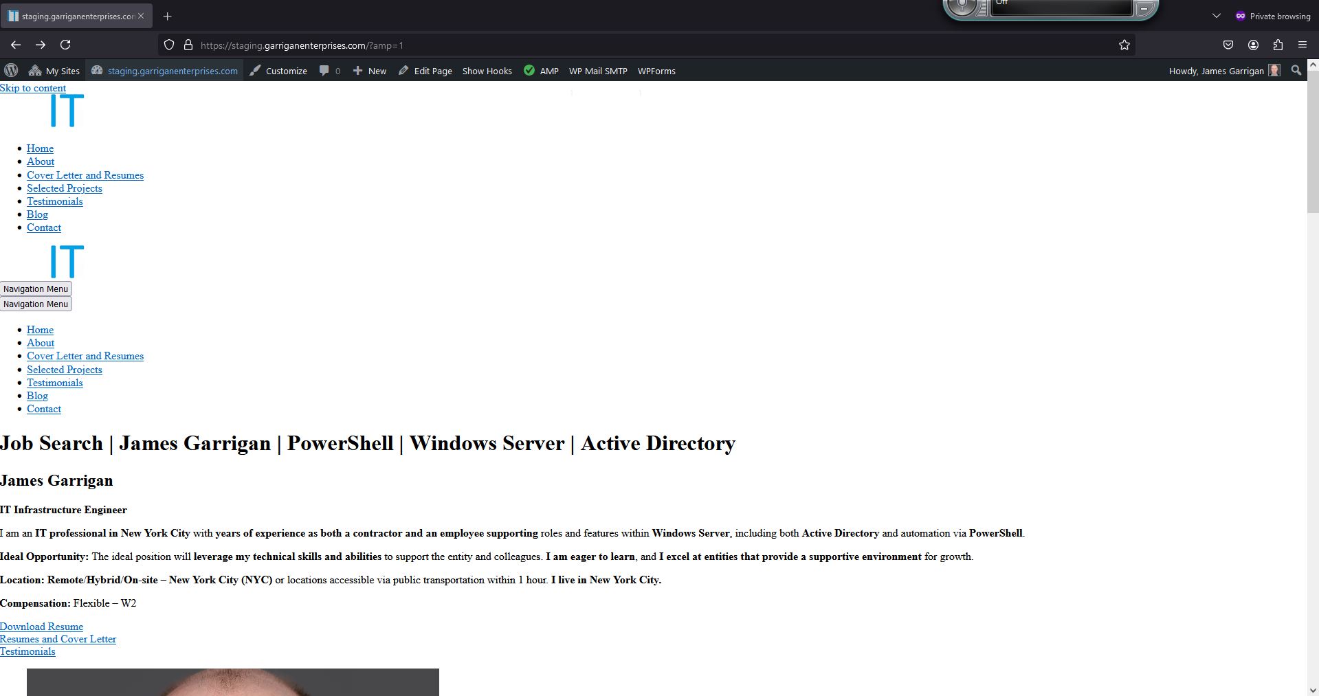 Broken layout and the tag is filled with CSS rules - page 2 | WordPress.org